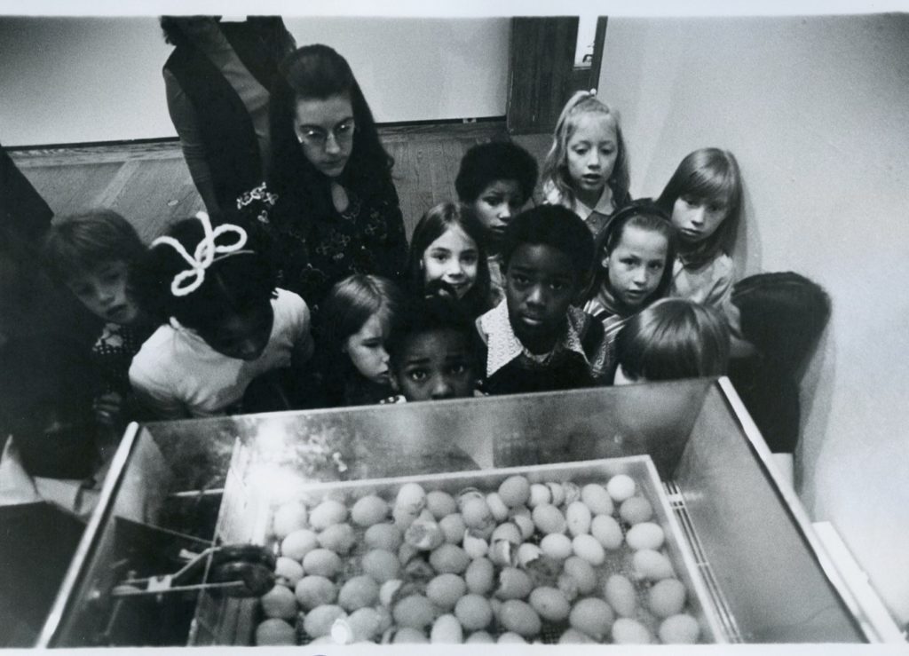 From the Archives: Frank Gillette, Tarantulas, and Chickens - Everson ...