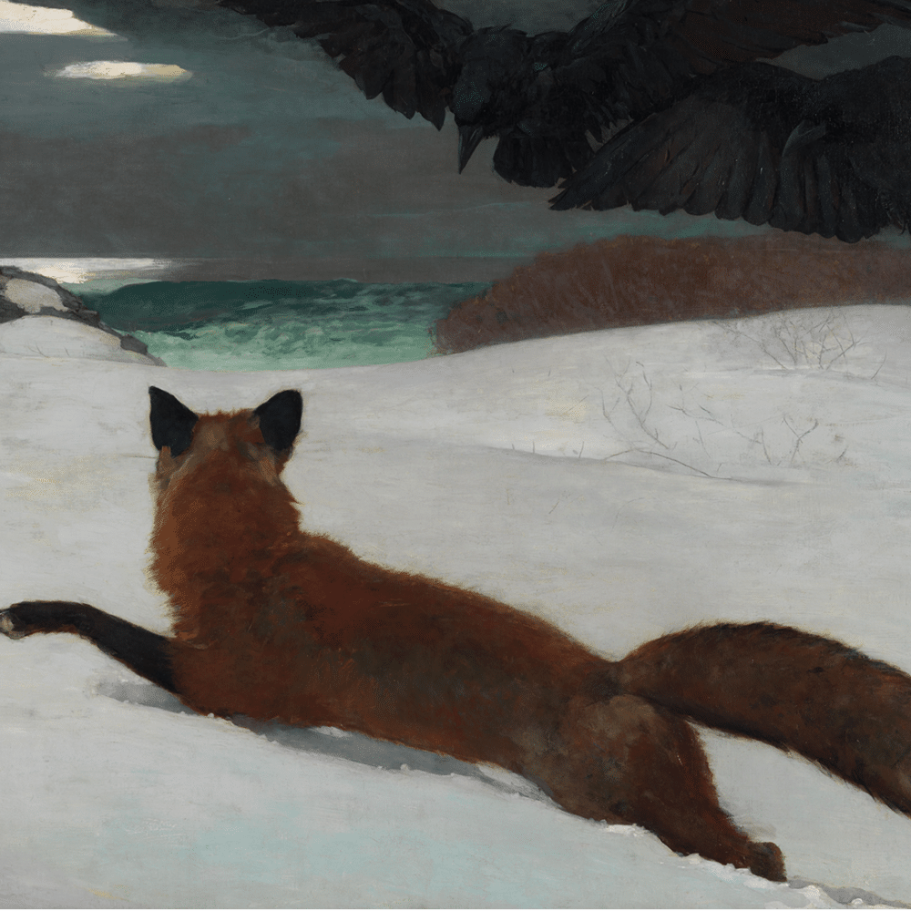 Home - Everson Museum of Art